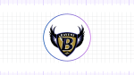 The History and Evolution Of the Baltimore Ravens Logo